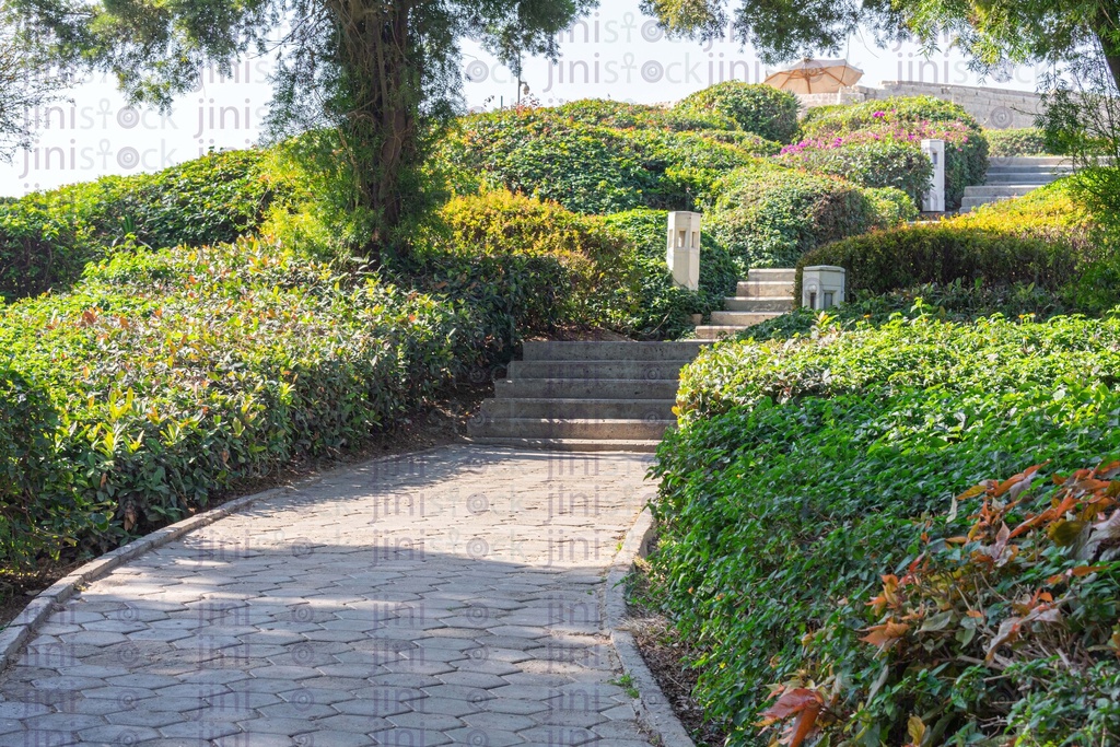 Walkway and bush. That is concrete pavement, floor, passage, path ...