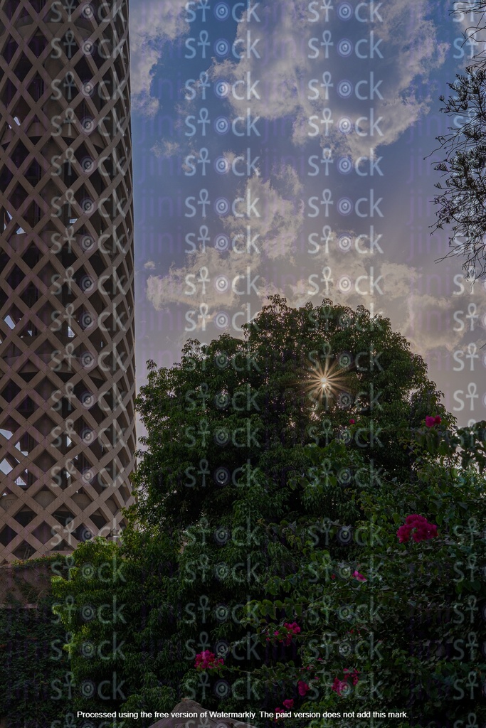 A picture of trees next to the Cairo Tower with the sun on the horizon. | Jini Stock